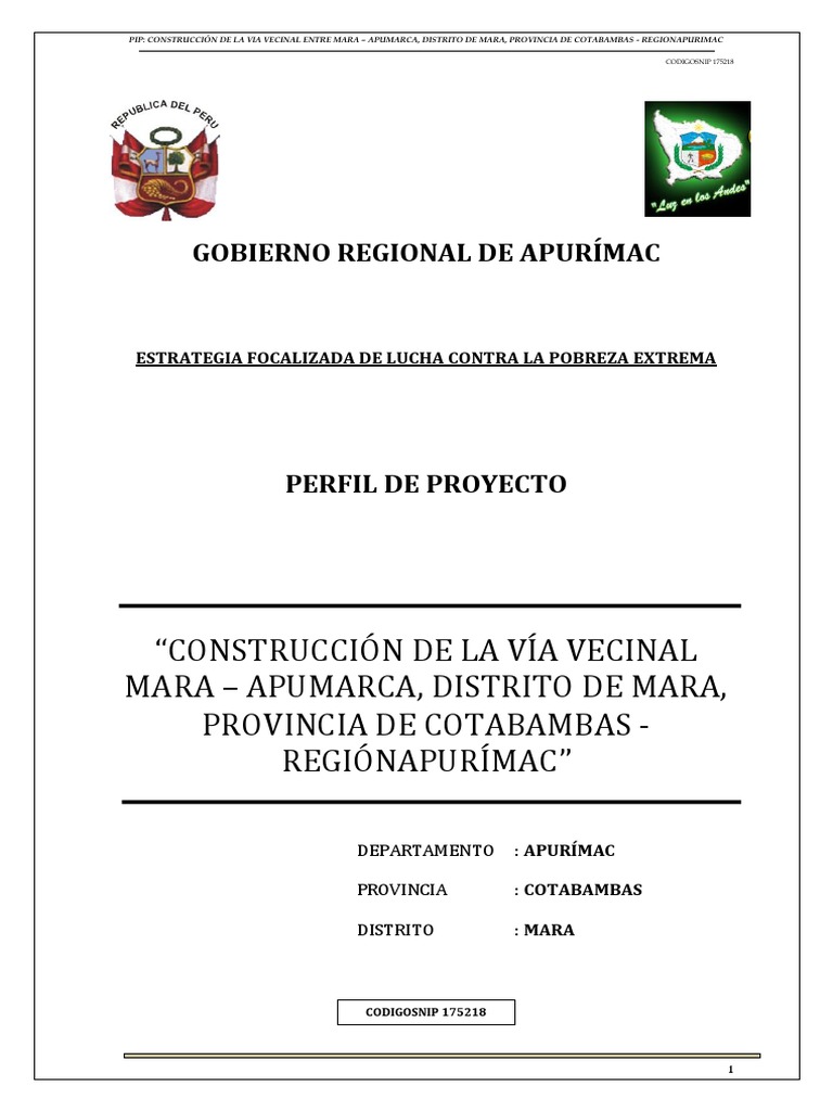 Modelo Proyecto de Inversión Publica | PDF | Transporte | Beneficio (economía)