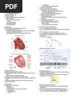 ECG - EKG Practice Quiz (Identify Rhythms) | PDF | Electrocardiography ...