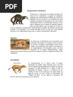 Linea de Tiempo Del Origen Del Perro | PDF | Perros | Naturaleza