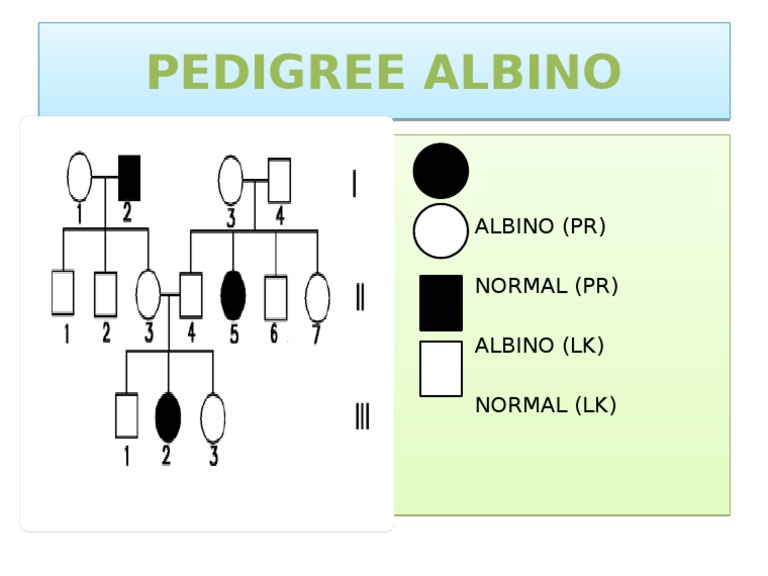 Albinism Pedigree Chart