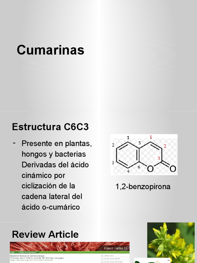 Cumarinas | Organismos | Ciencias de la tierra y de la vida
