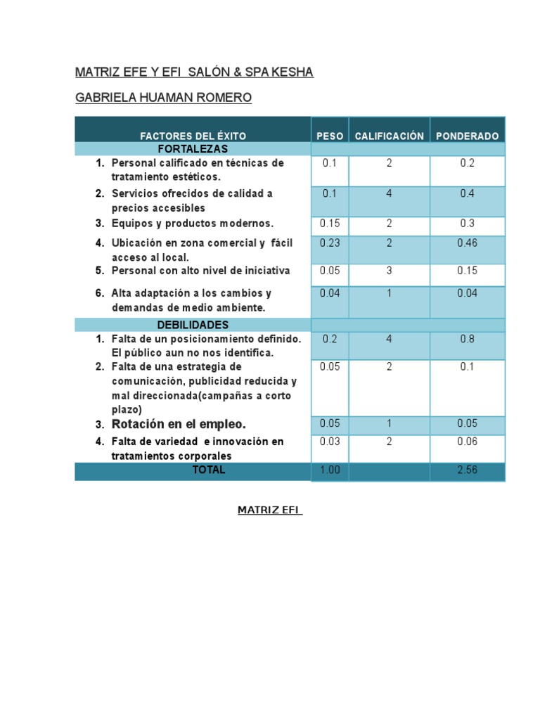 Matriz Efe y Efi Salón | PDF