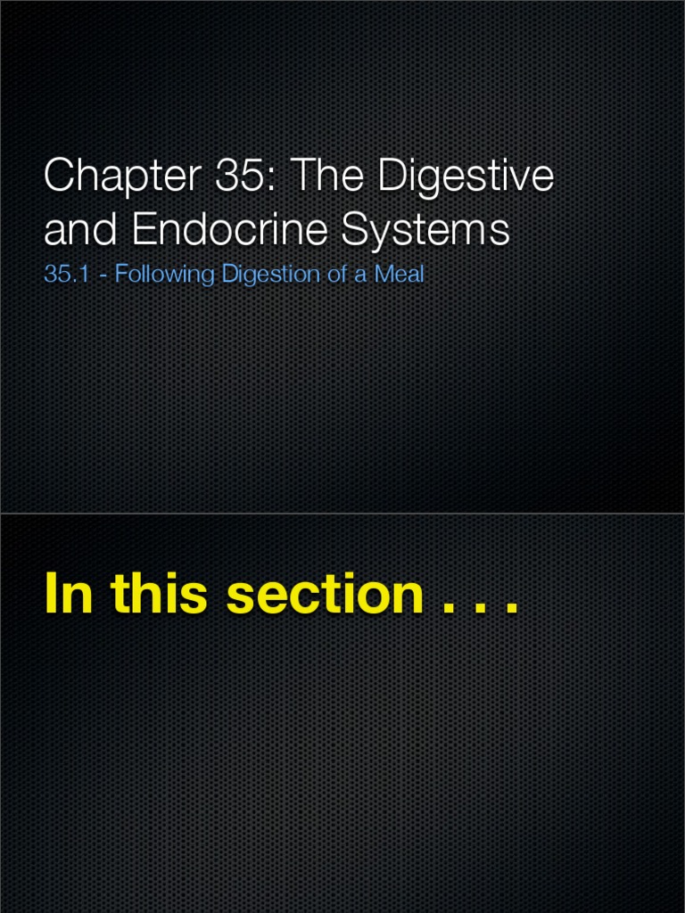 The Digestive and Endocrine Systems Slides | PDF | Stomach | Digestion