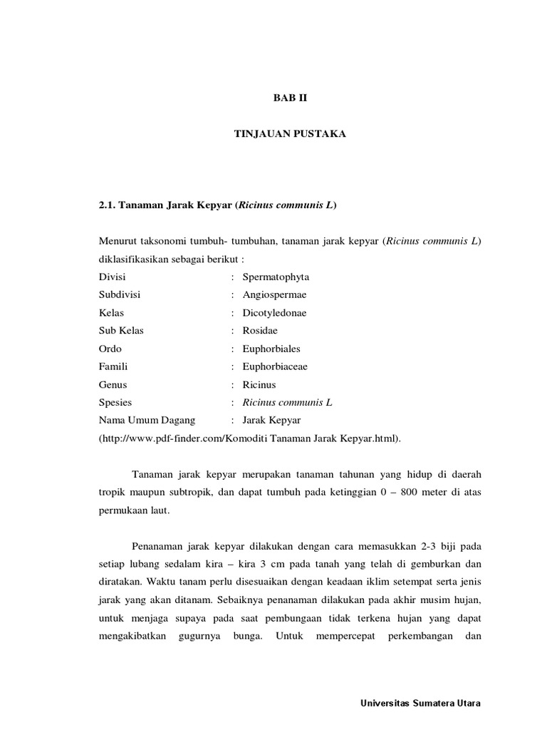 Ricinus Comunis | PDF