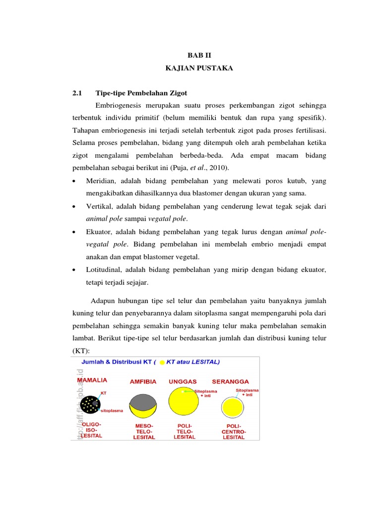 Perkembangan Embrio Katak | PDF