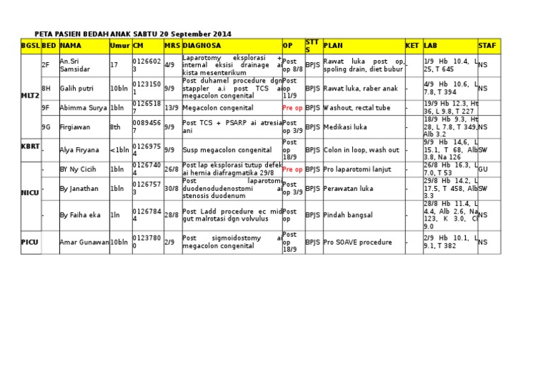 Pediatric Surgery Patient Log | PDF