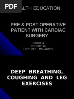 Burger-Allen Exercises | PDF | Vein | Circulatory System