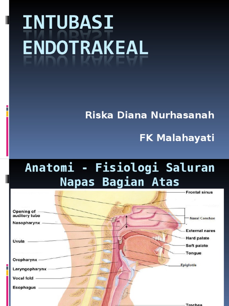 Intubasi Endotrakeal - Riska | PDF