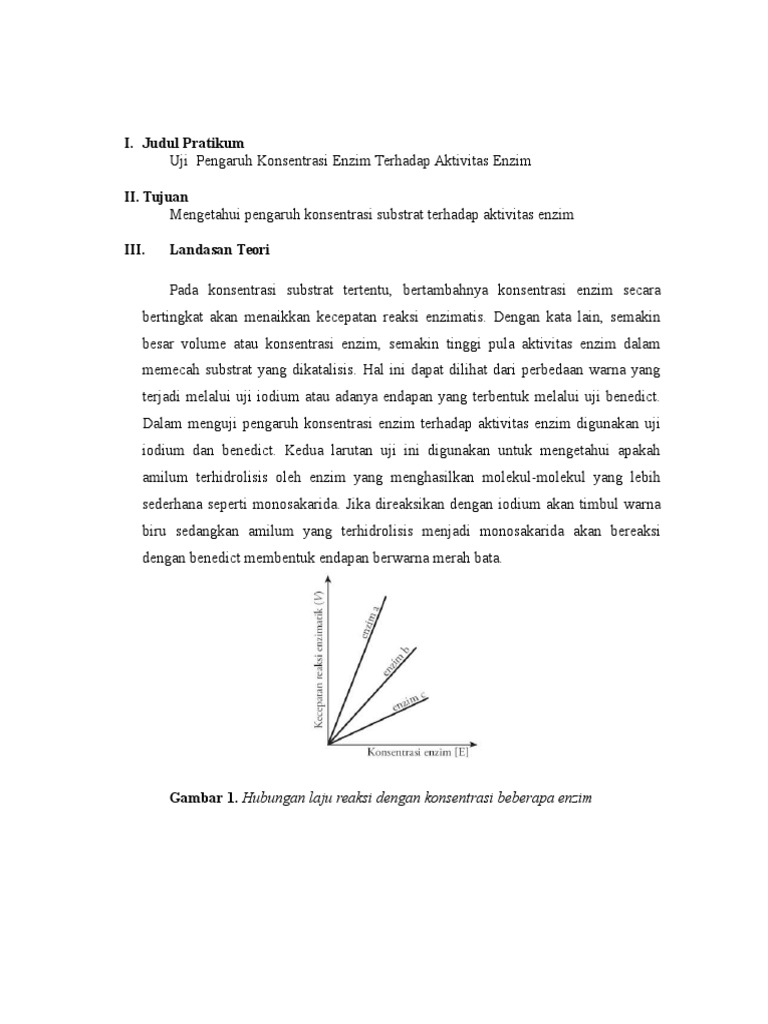 Uji Pengaruh Konsentrasi Enzim Terhadap Aktivitas Enzim | PDF ...
