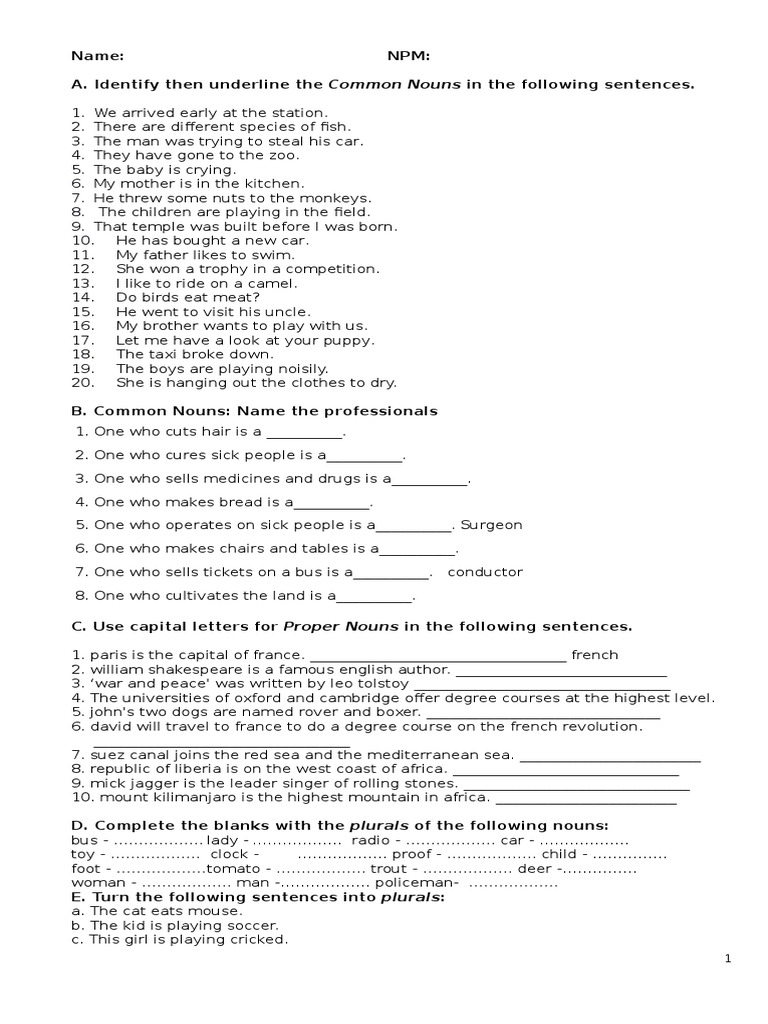 Exercises of Nouns | PDF | Noun | Grammatical Number