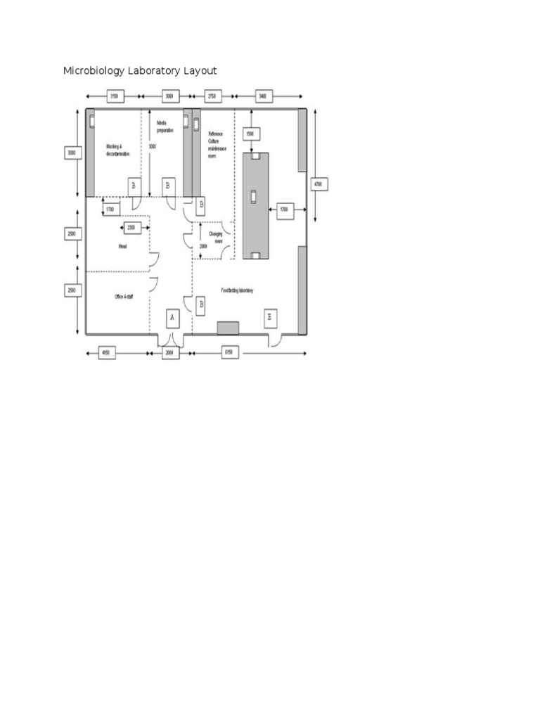 Microbiology Laboratory Layout | PDF