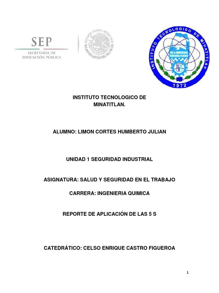 Reporte 5s de La Calidad | PDF | Calidad (comercial) | Producción y ...