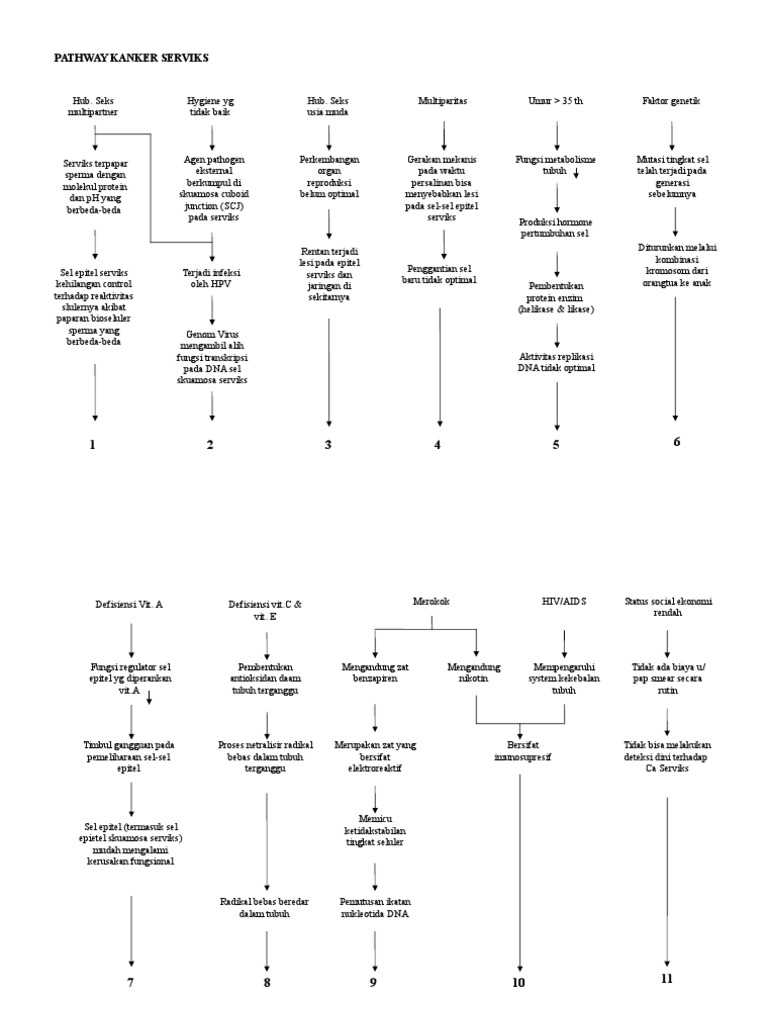 Pathway CA Serviks | PDF