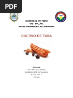 INSECTOS PLAGAS - Tara PDF | PDF | Lepidópteros | Mosca