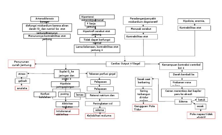 Pathway Gagal Jantung | PDF
