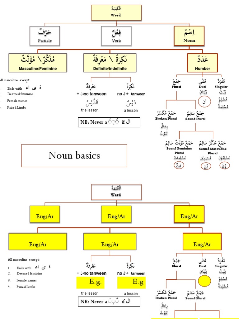 Noun Basics: Verb Particle | PDF | Grammatical Number | Grammatical Gender