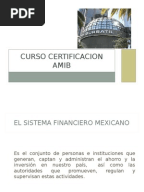 A Simulador Examen AMIB(1)