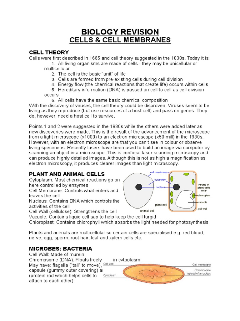 WJEC GCSE Biology - Cells & Cell Membranes | PDF | Meiosis | Cell (Biology)
