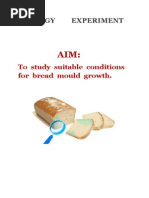 Lab Report Outline Moldy Bread | PDF | Scientific Method | Experiment