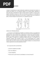 Marcha Trendelenburg: Análisis y Alteraciones | PDF | Pelvis | Sistema ...