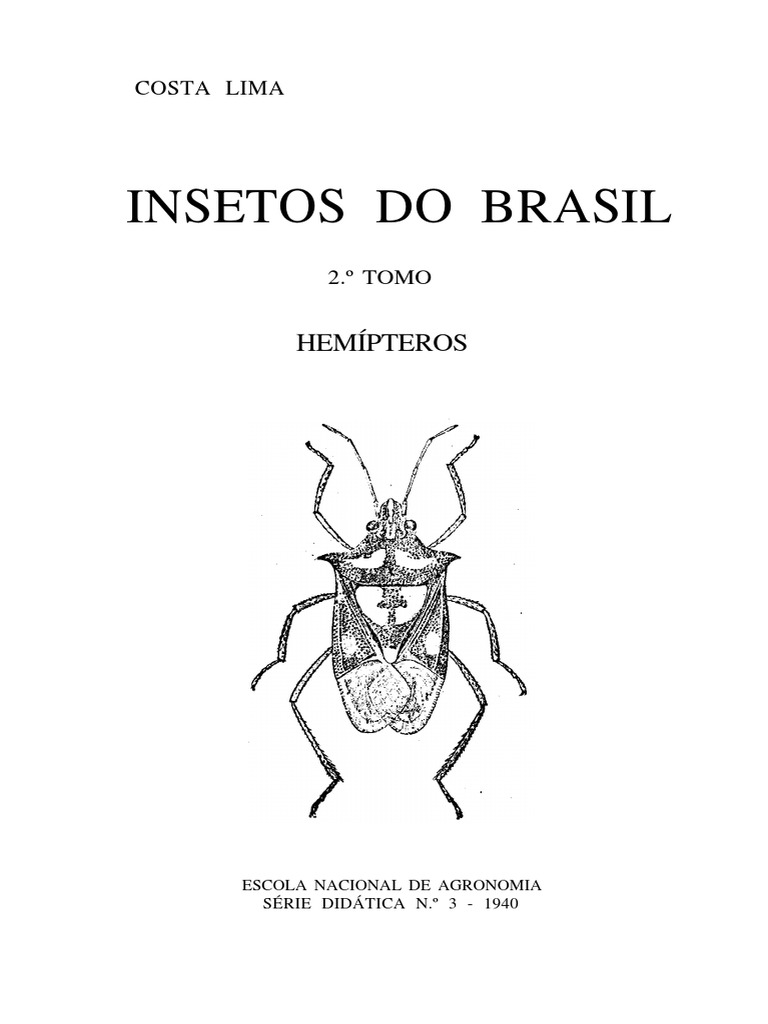 Insetos Do Brasil | PDF | Insetos | Zoologia
