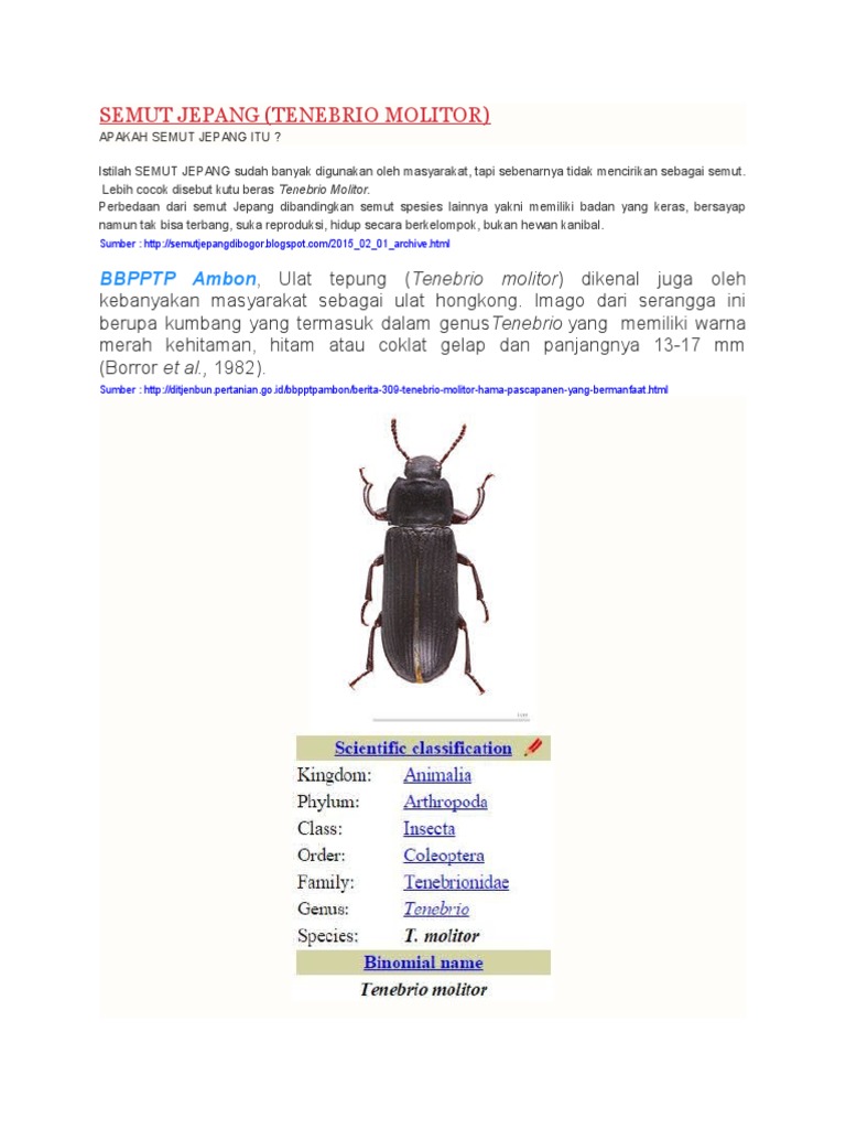 Semut Jepang | PDF | Inhibitor Enzim | Protease