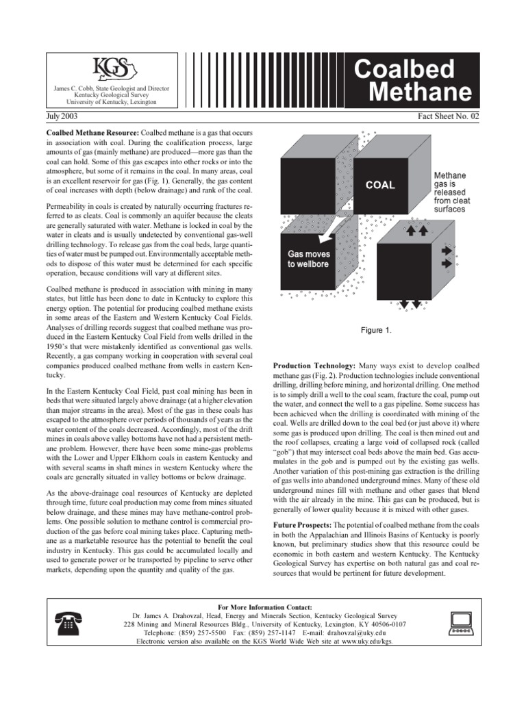 01 Coalbed Methane | PDF | Coalbed Methane | Natural Gas