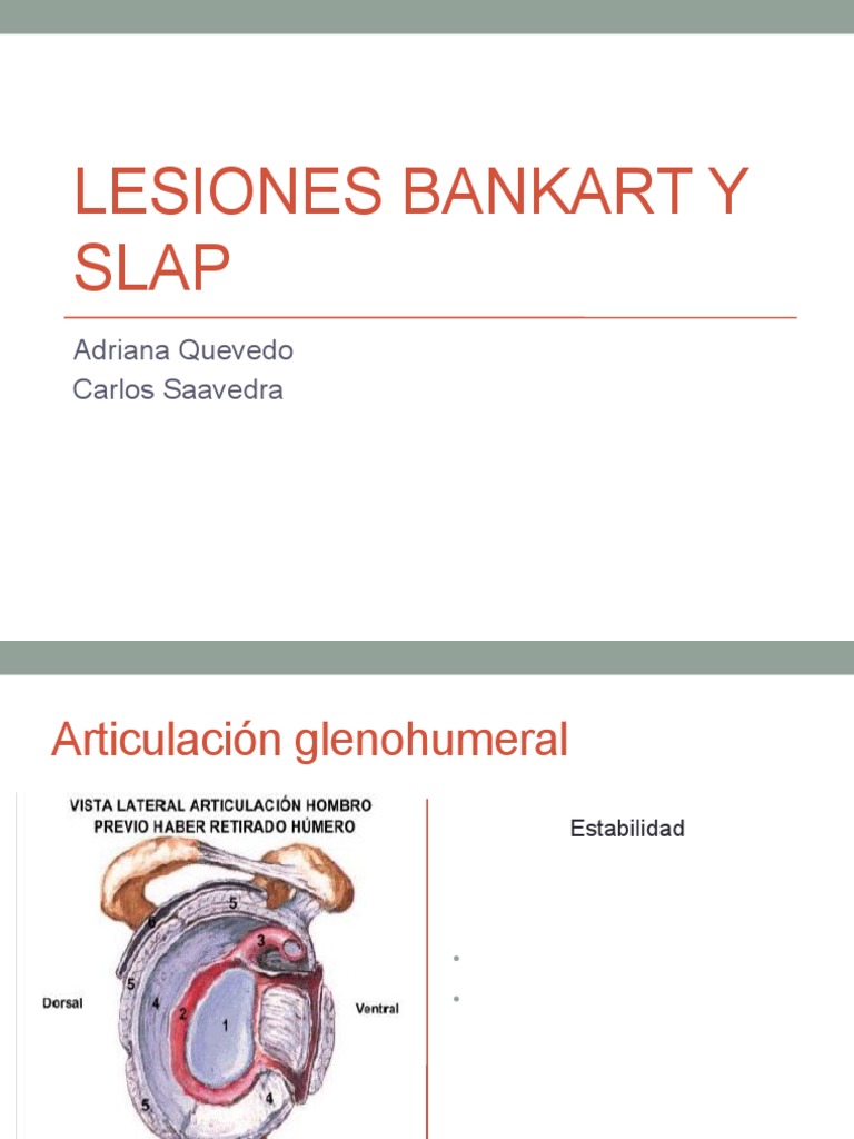 POP Bankart y SLAP | Hombro | Lesión