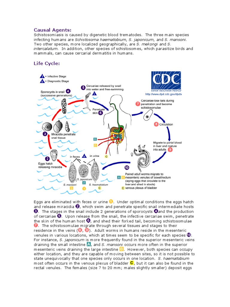 Causal Agents:: Intercalatum. in Addition, Other Species of ...