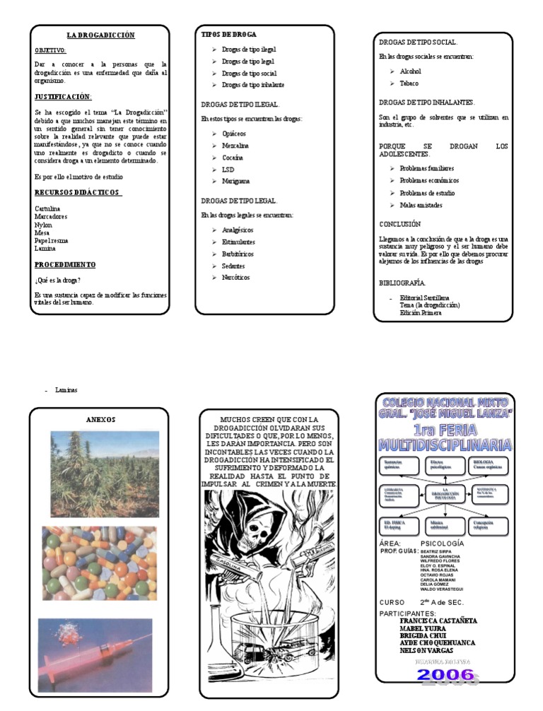 Triptico La Drogadicción | PDF | La dependencia de sustancias | Drogas