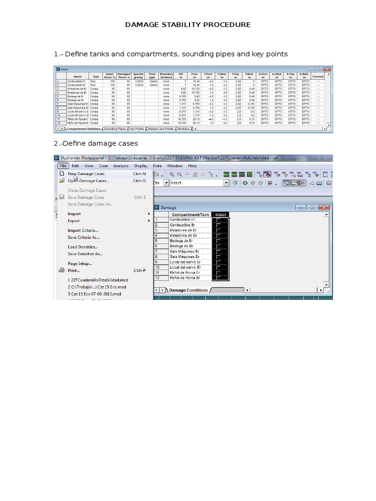 Damage Stability Procedure Guide | PDF | Technology & Engineering