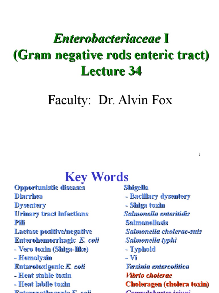 Enterobacteriaceae Overview and Classification | PDF | Salmonella ...