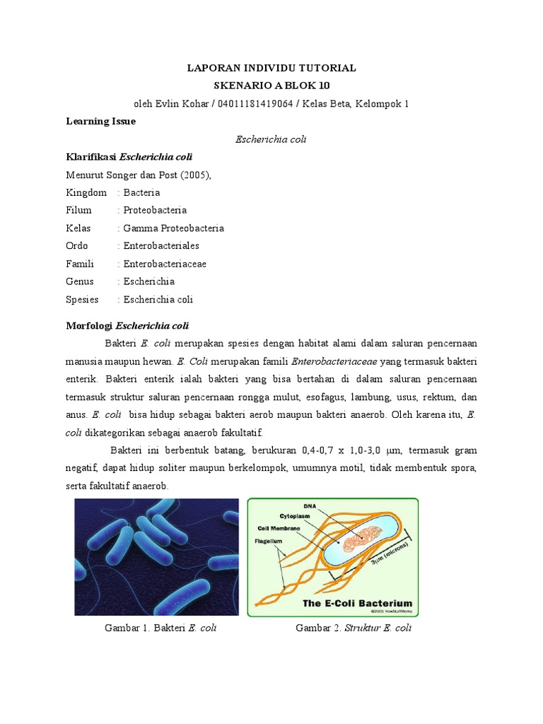 E Coli | PDF | Kesehatan Holistik