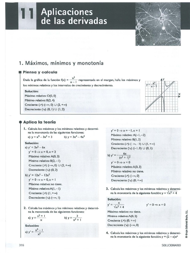 BLOQUE III - ANALISIS - TEMA 11. Aplicaciones de Las Derivadas | PDF