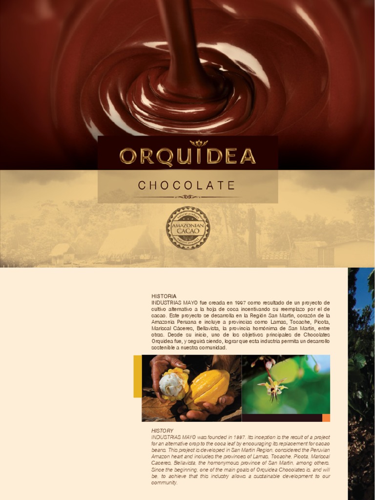 The Sustainable Journey of Orquidea Chocolates: Promoting Social ...
