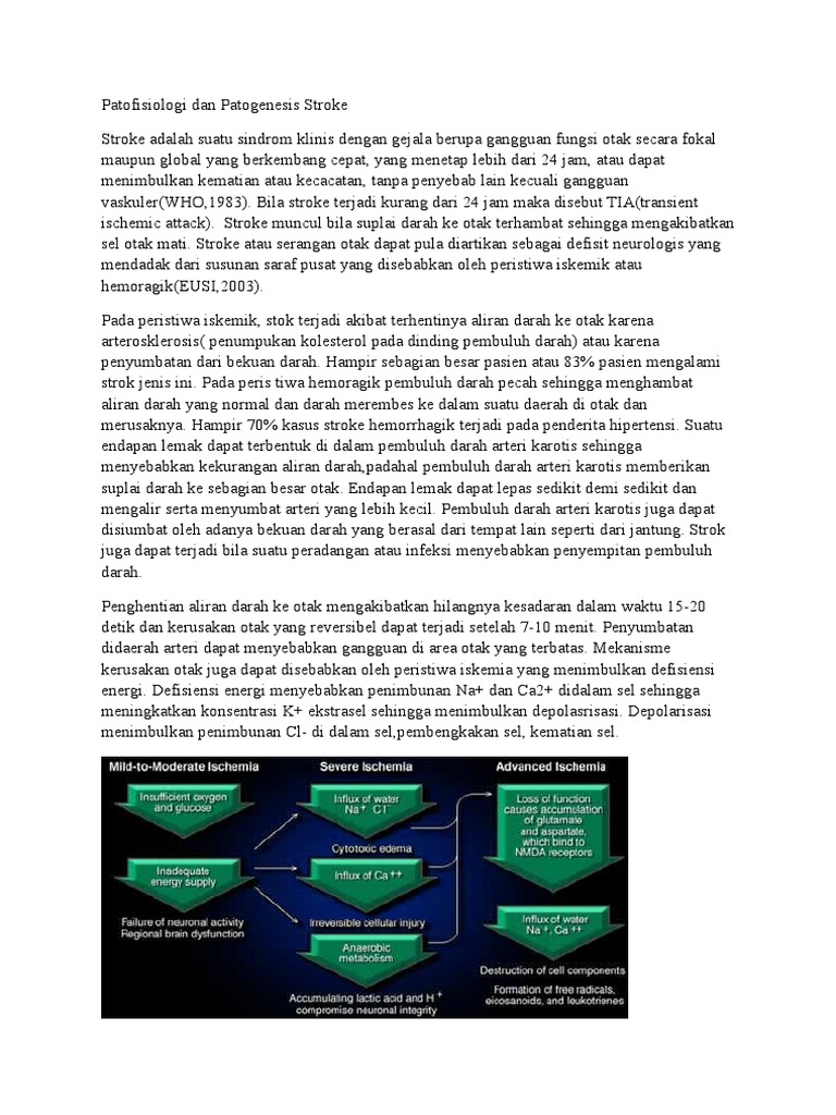 Patofisiologi Dan Patogenesis Stroke | PDF
