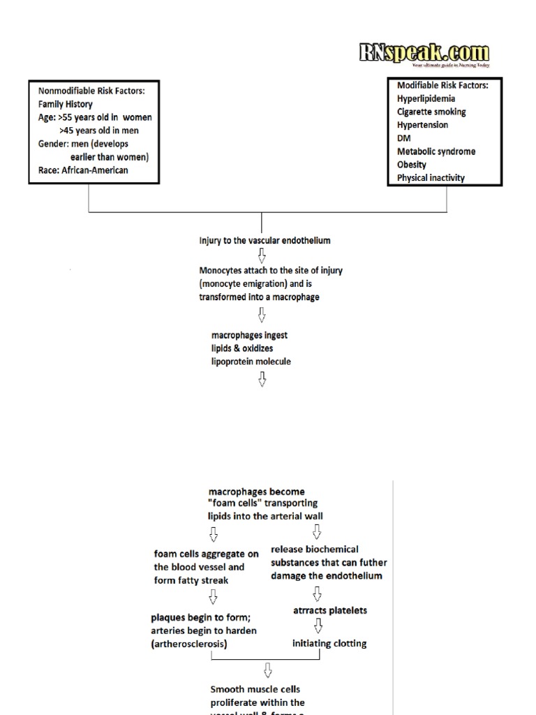 Coronary Artery Disease Pathophysiology | PDF