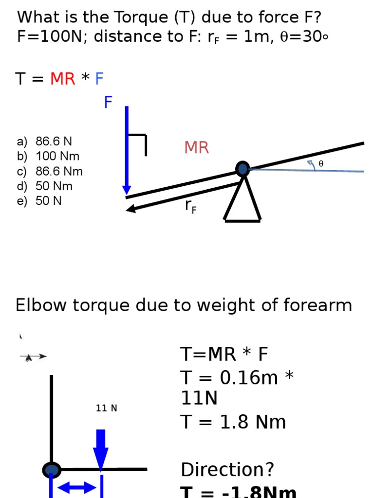 Muscle Torque Calculations in Biomechanics | PDF | Elbow | Arm