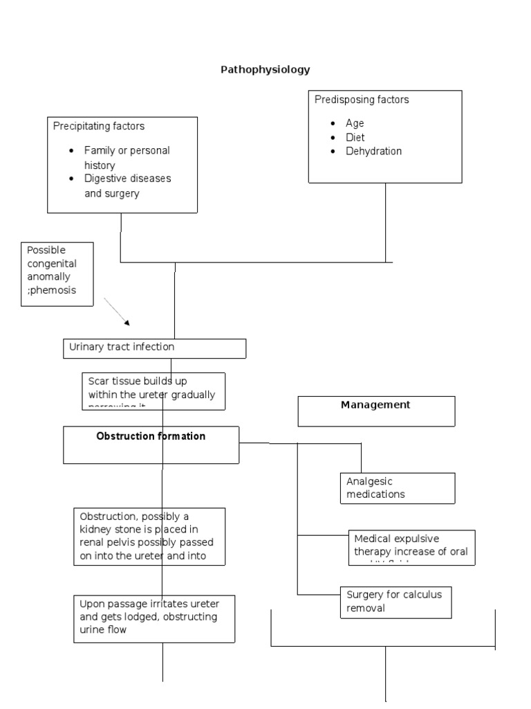 Pathophysiology | PDF