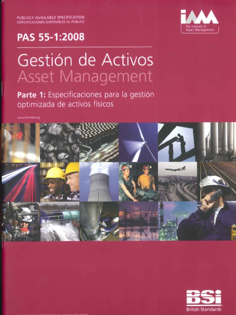 Pas55 | PDF