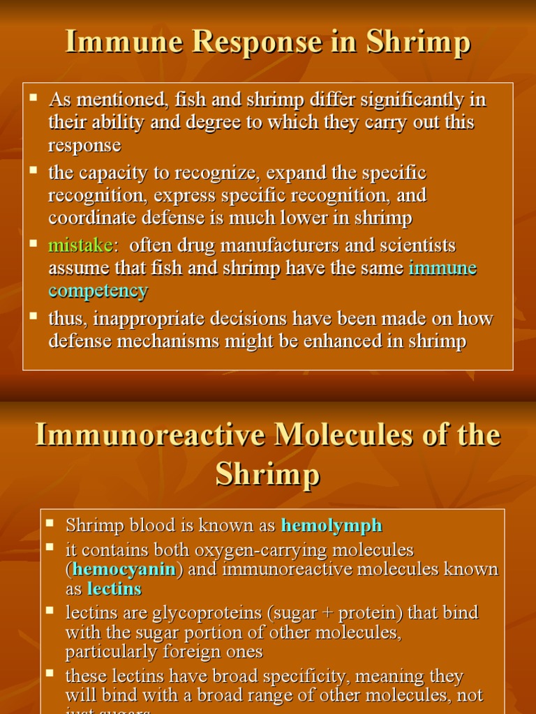 Shrimp Immune Response and Mechanisms | PDF | Infection | Virus