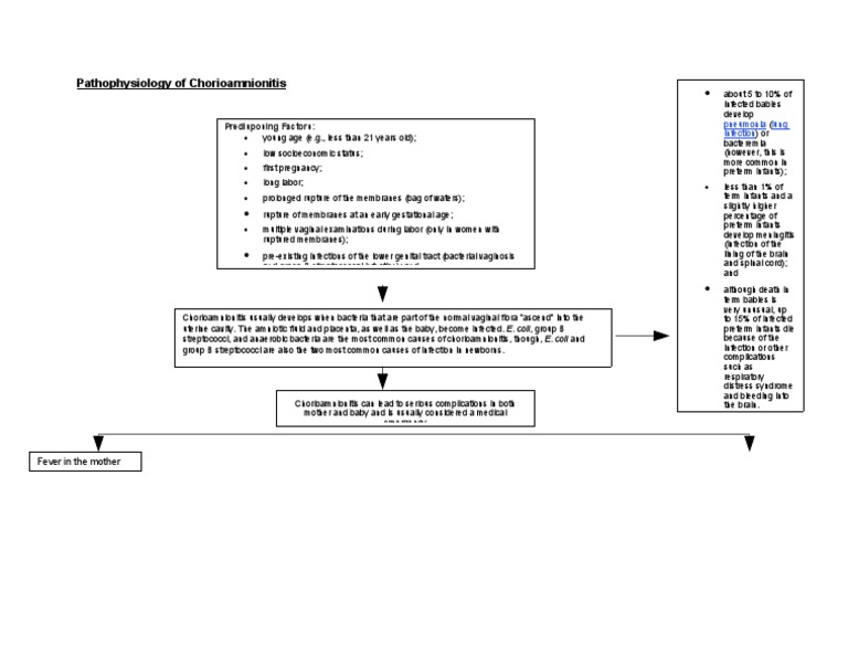 Pathophysiology of Chorioamnionitis | PDF | Preterm Birth | Streptococcus