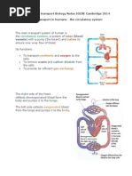 Blood and Circulation, iGCSE Biology | PDF | Circulatory System ...