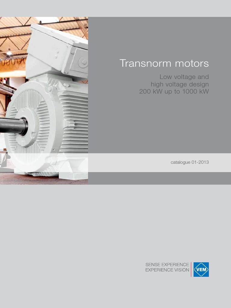 Transnorm Motors: Low Voltage and High Voltage Design 200 KW Up To 1000 ...