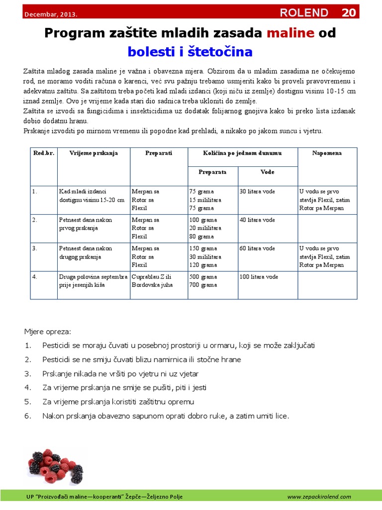 Program Zaštite Mladih Zasada Maline | PDF