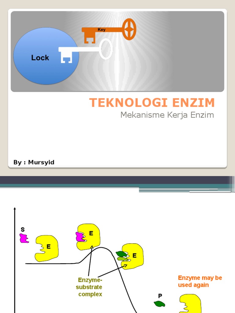 Mekanisme Kerja Enzim | PDF