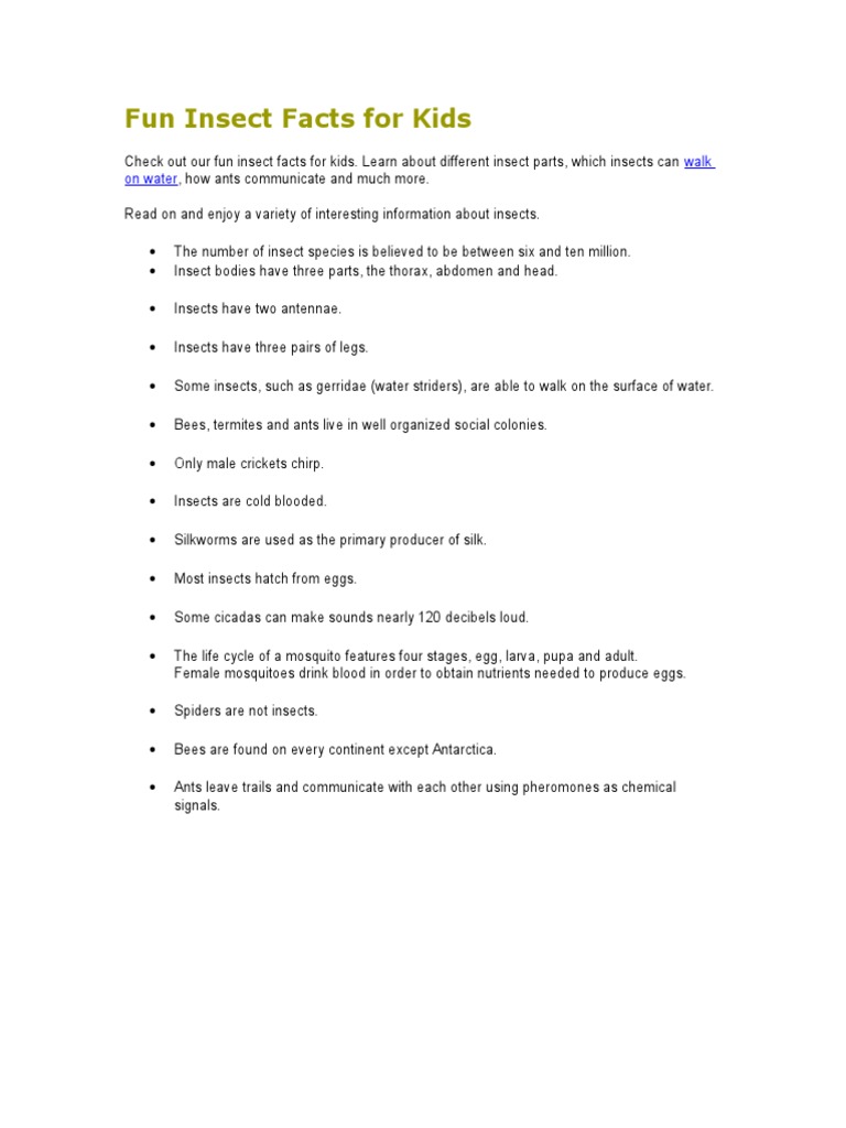 Fun Insect Facts For Kids | PDF
