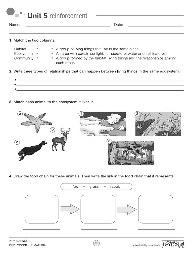 Fichas Science 4º Primaria. Ecosystems | PDF