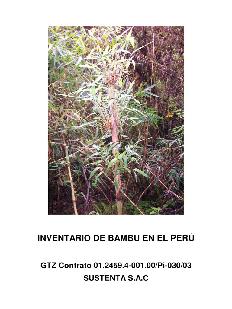 Bambu 1 PDF | PDF | Hogar, jardinería y bricolaje