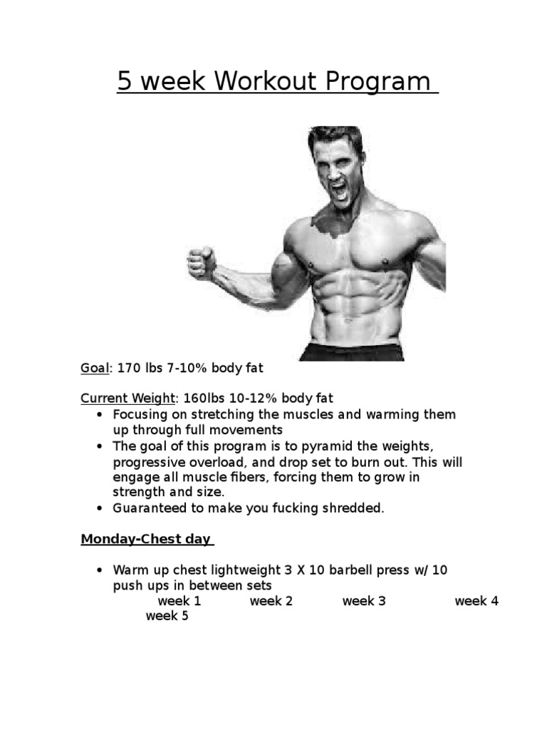 5-Week Shredded Workout Plan | PDF